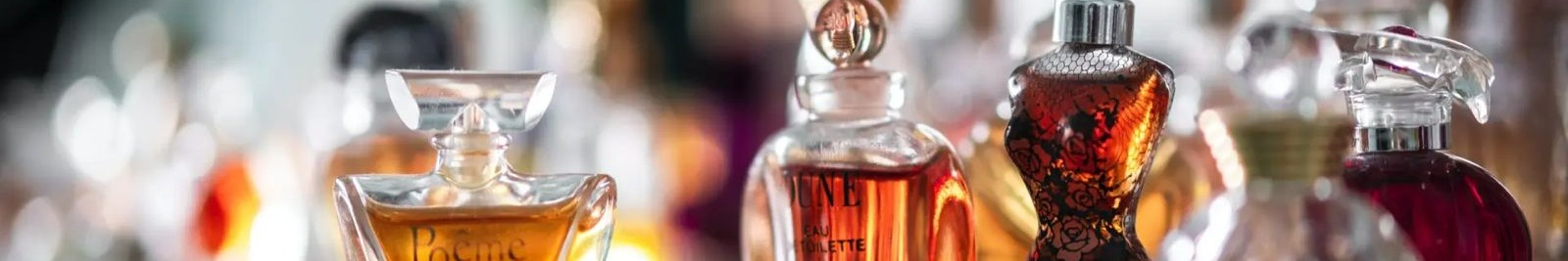 Perfume y Elegancia (@ perfumeyelegancia ) / Pency